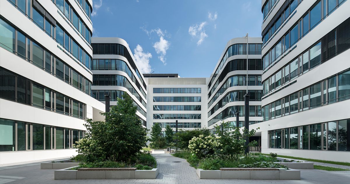 Struktur & Management bei DB InfraGO